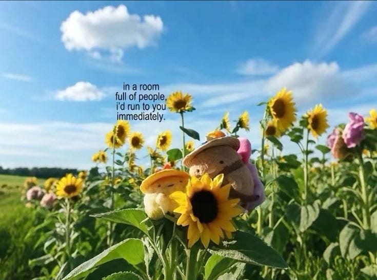 Too Tall to Reach, Too Close to Ignore. | by