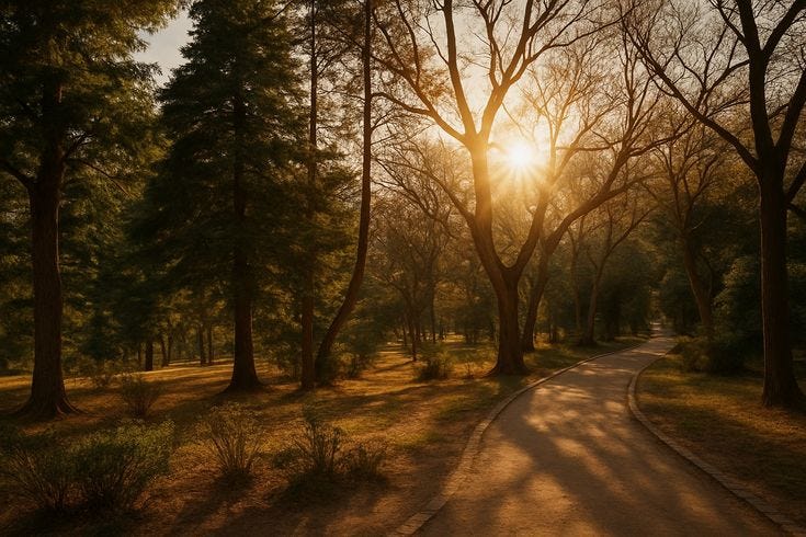 Photography, Invisible Audience, and Self-care | by Fiza Ameen ...