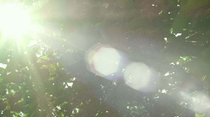 Mitski References. - fulloflove-creature. - Medium