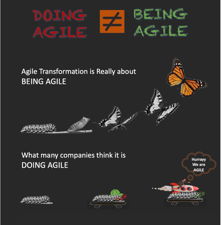 Metamorfosa Agile. Agile bukanlah sebuah tujuan akhir… | by Hasan Ibrahim | Medium