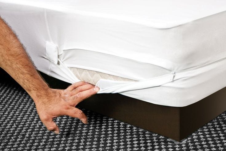 Why Bed Spring Encasements Are Essential, Not Optional | by Eric Wilson ...