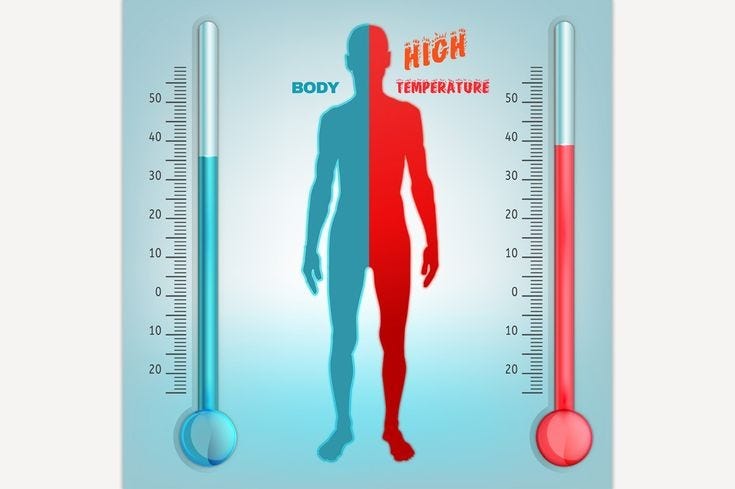 Understanding Body Temperature: Regulation, Importance, and Variations ...