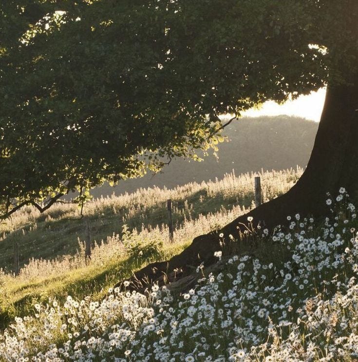 Bumi mendekap. Inilah kali pertama bagi Gian, Sena … | by ...