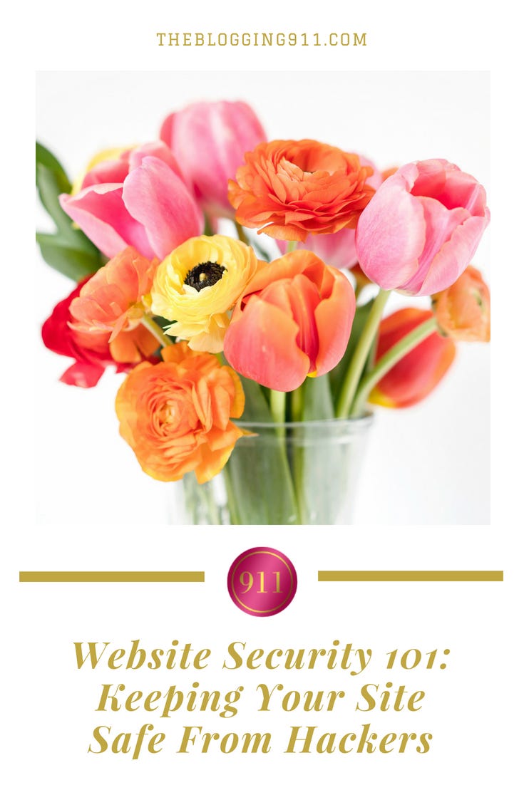 Website Security 101: Keeping Your Site Safe From Hackers | by Rena ...