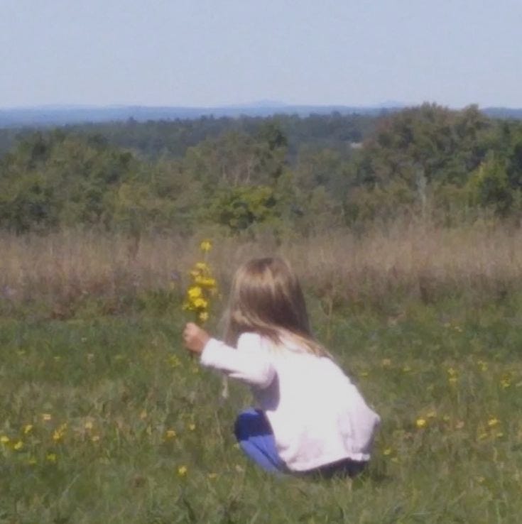 The Memory of a Child with No Father | by sofi ♡ | Medium