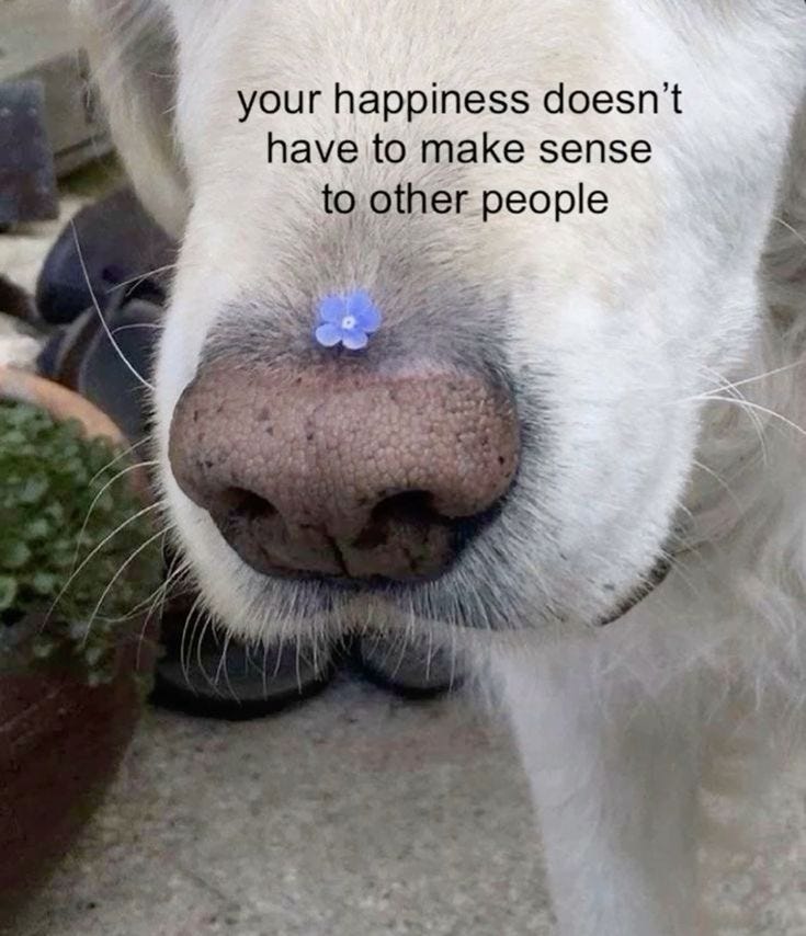 happiness beyond understanding. my happiness doesn’t have to make sense ...