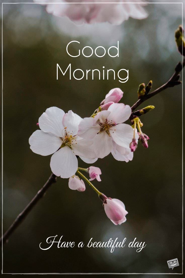 What’s the best thing to write early in the morning? | by ...