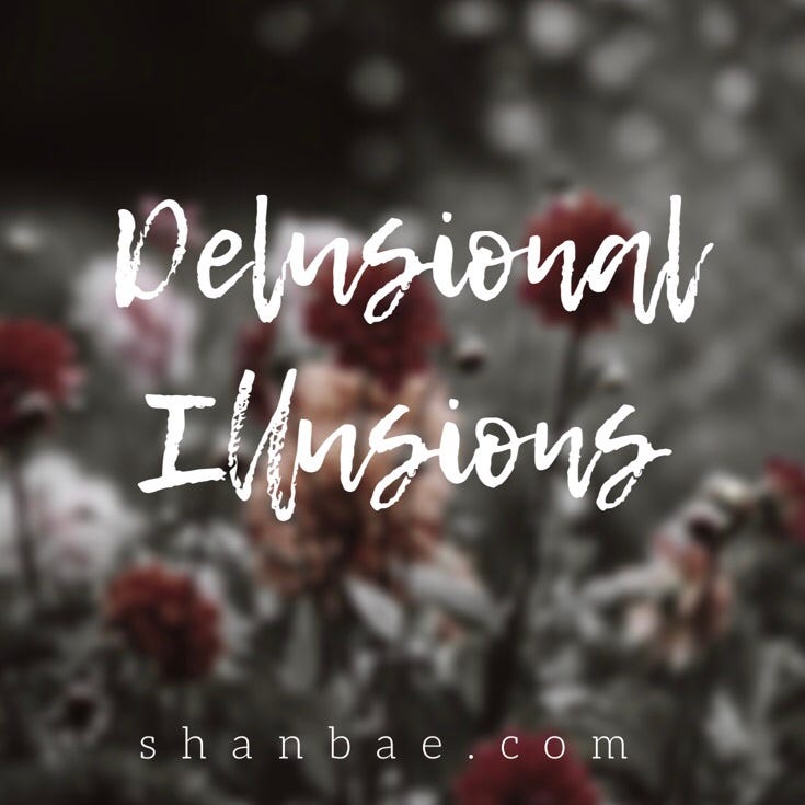 Delusional Illusions. For months I evaded your illusion by… | by shan ...