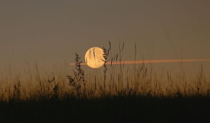 Moon in the Morning - buana bastala - Medium