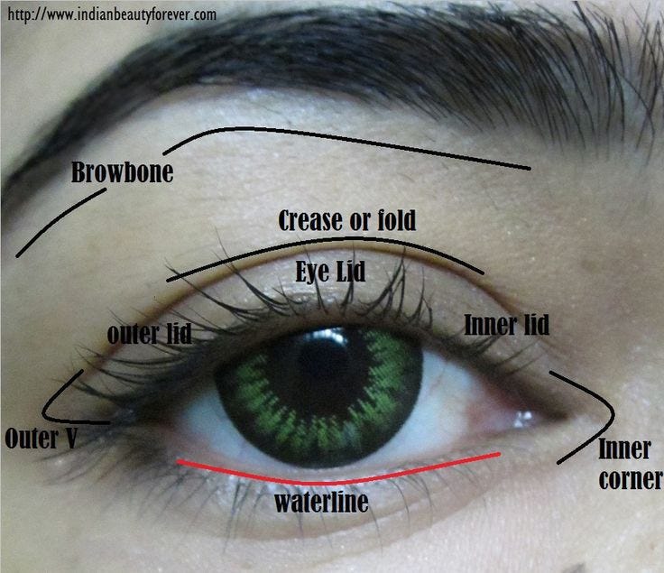 6 Different Eye Shapes and How to Enhance Them With Makeup | by ...