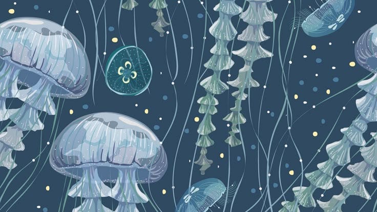 Do Jellyfish feel emotions?. Oct 3, 2018– my 11th birthday, I was… | by ...