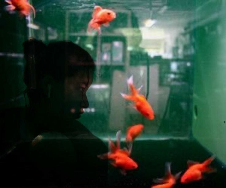 Why Constant Scrolling Trains Your Brain to Fear Boredom | by sn ...