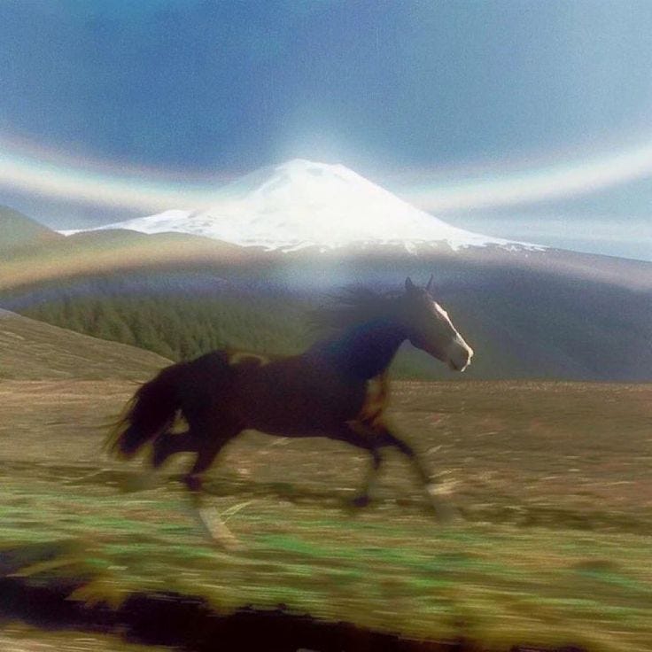 Riding the Waves of Transition: From the Wood Snake to the Fire Horse ...