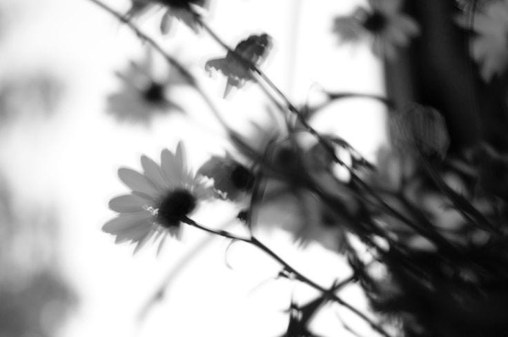 Dead. The somber realization that creeps in… | by Khairo Immanuel | Medium