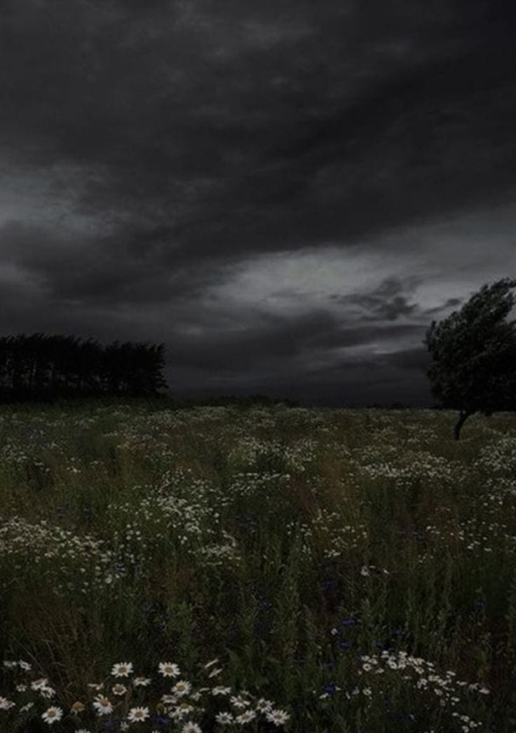 The Prophecy | by vall | Medium