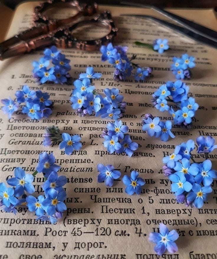 Forget me not #4 | by Rayishere | May, 2025 | Medium