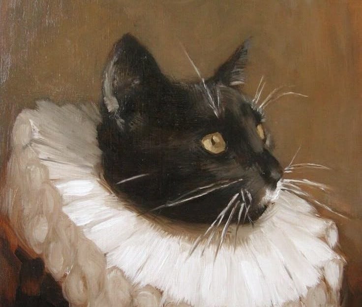 Polydactyl Chronokitty — By: Terry Trowbridge - The Scarlet Heir ...