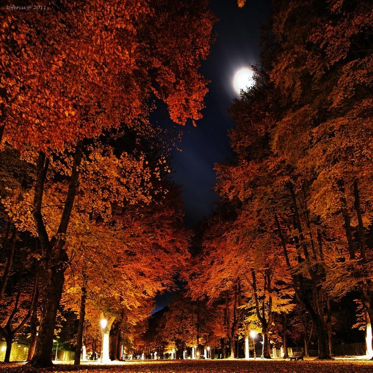 October Night. Moonlight | by Chris Carter | ILLUMINATION | Medium