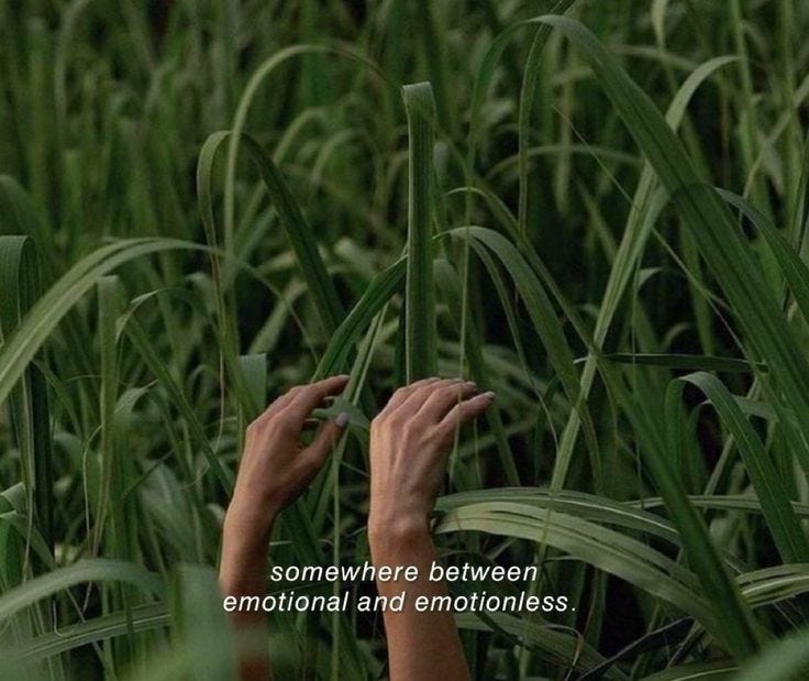 hi, are you okay?. somewhere between emotional and… | by tel ୨ৎ | Medium