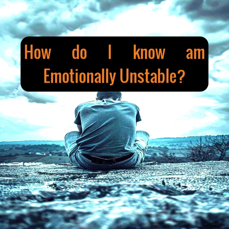 Signs You are Emotionally Unstable | by Barbara Jones | Aug, 2024 | Medium