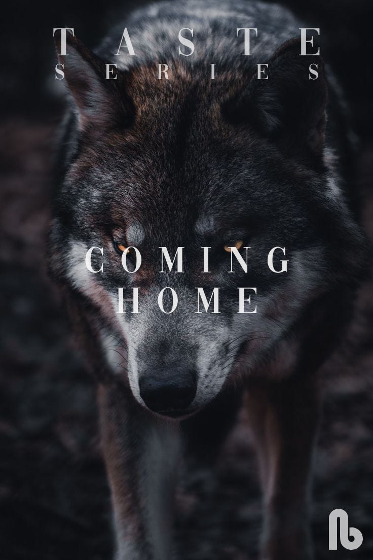 TASTE — COMING HOME 1. “KAAAAAAAAAKKKKKKK!!” | by noubieau | Medium
