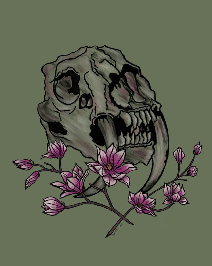 The Town of Skull Tooth. Episode 1 | by Amna R | Medium