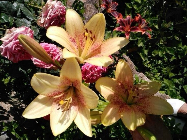 A Year of Loss, A Lifetime of Love | by Jae | Medium