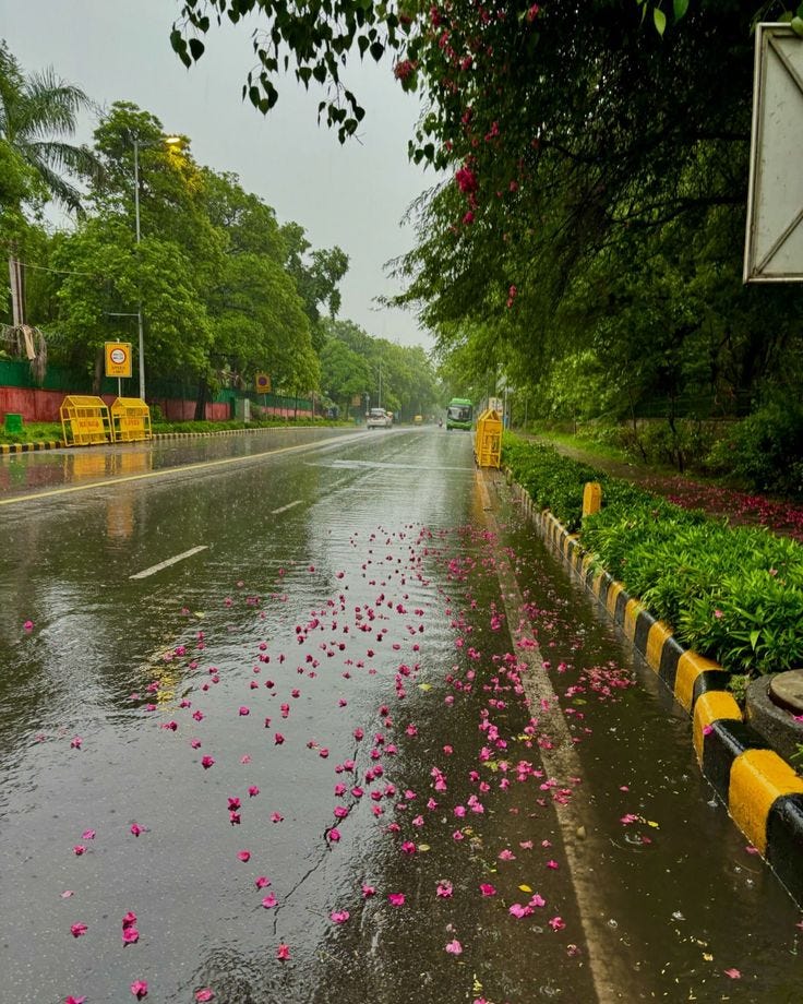 Kindness in the Rain. “A Story of Unexpected Kindness on a… | by Lalli ...