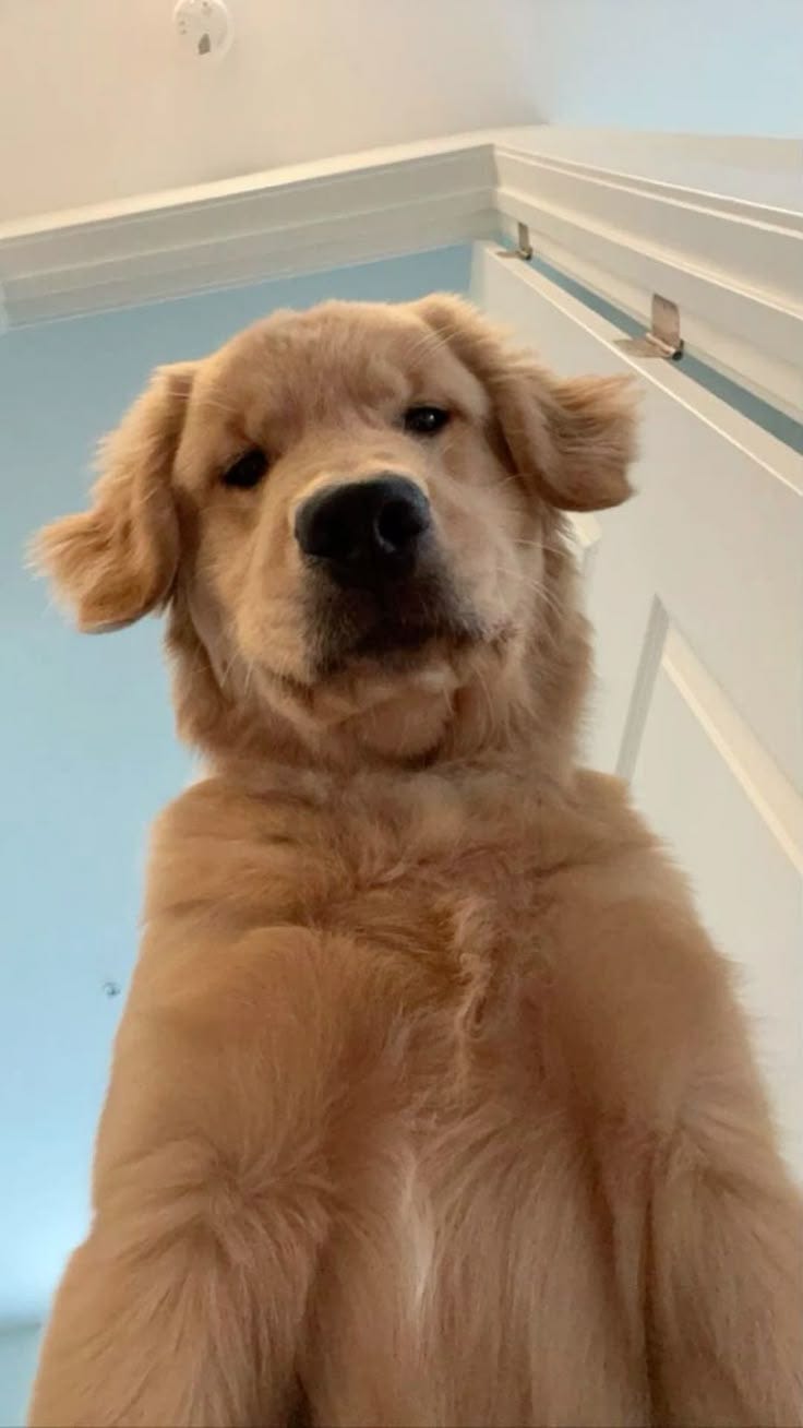 Starting Small: Why I am Choosing to Begin Anyway. | by Rutuja Joshi ...