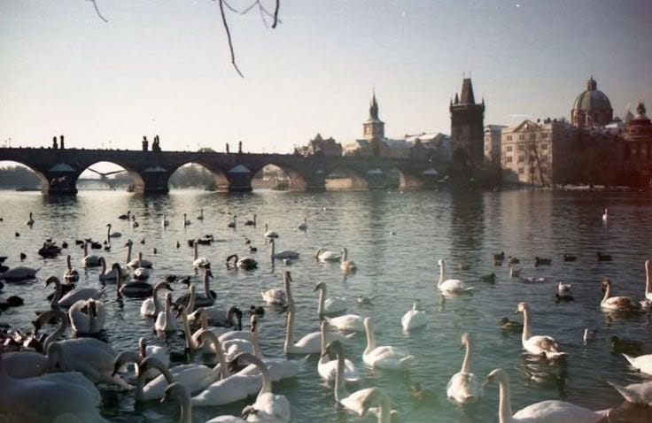 don’t listen to them, what do they know? | by anin | Mar, 2025 | Medium