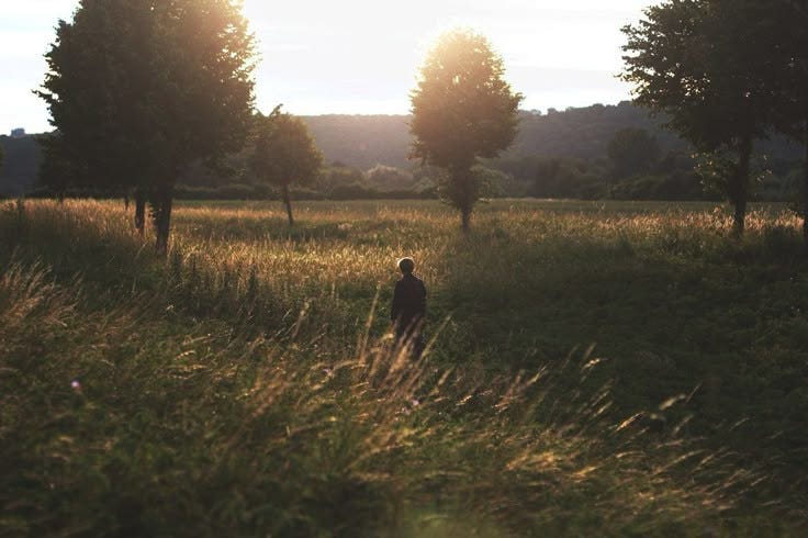 Isolation Is My Peace. I used to always reach out for someone… | by zhí ...