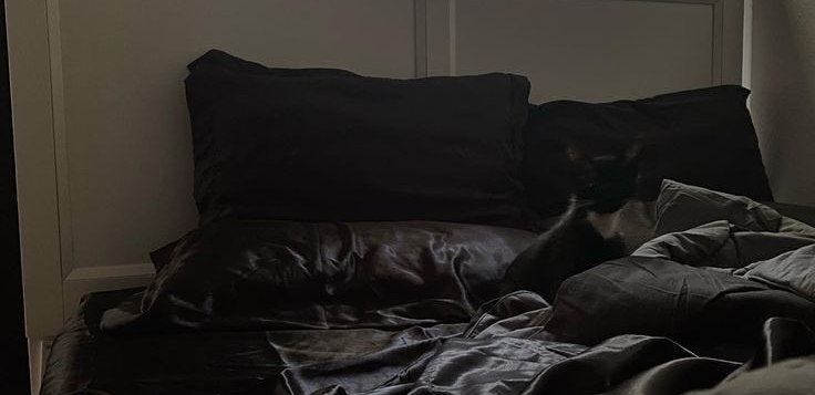 Twisted in bedsheets. august slipped away into a moment in… | by lalā ...