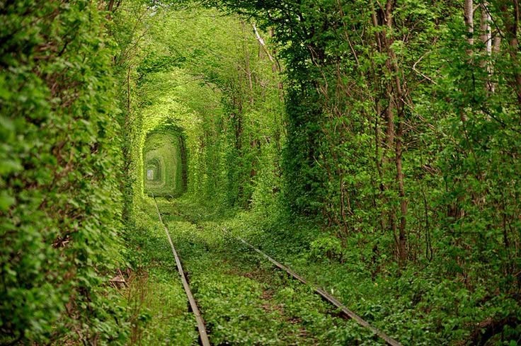10 Unbelievable Real Beautiful Places in the World | by The Explorer ...