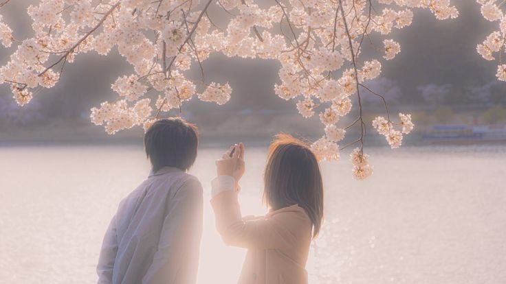 Jatuh cinta, sendirian ya?. Ini tentang nestapa, yang melawan… | by ...