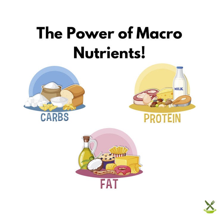 Understanding Macros: How to Balance Protein, Carbs, and Fats - Adnan ... Understanding Macros: How to Balance Protein, Carbs, and Fats - Adnan ...