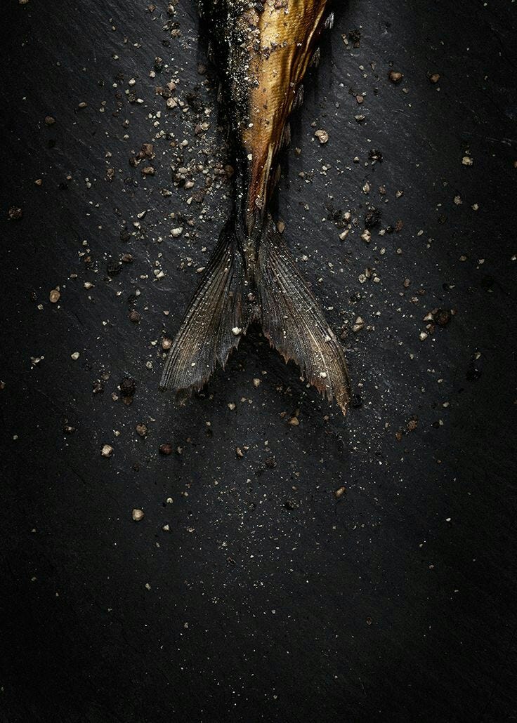Drowning fish. Gravity has fallen And friction: slid… | by Hamid | Medium