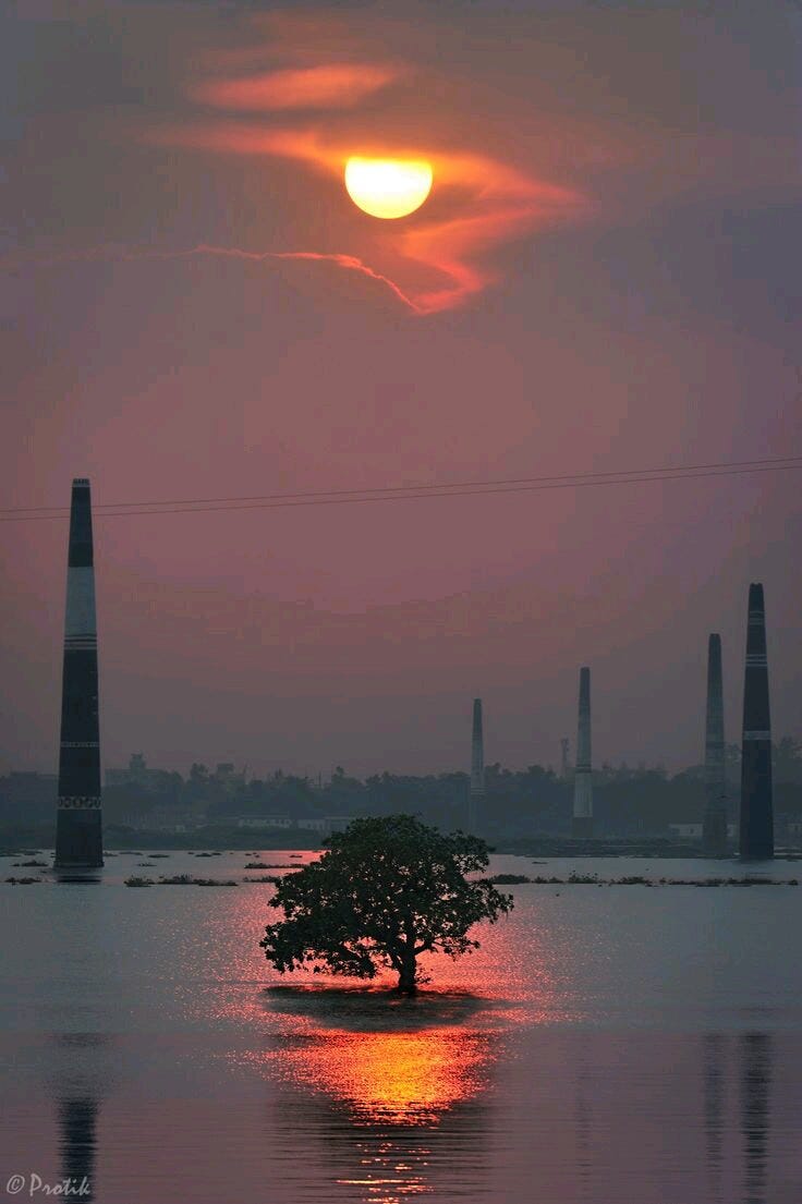 Hope & Sunshine.. After all those years when you finally… | by Araba ...