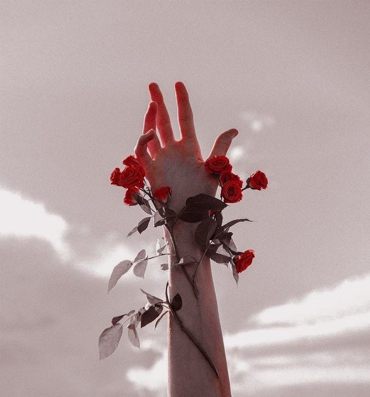 Moira | by Jayzmin | Medium