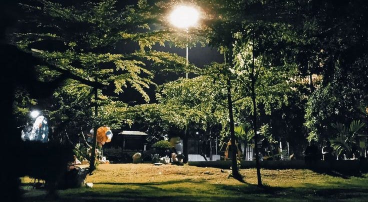 amarah | by w | Aug, 2023 | Medium