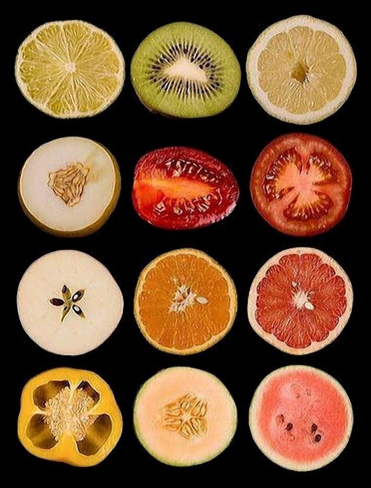 Isn't a fish really a fish ? | by Simge Sakarya | Nov, 2024 | Medium