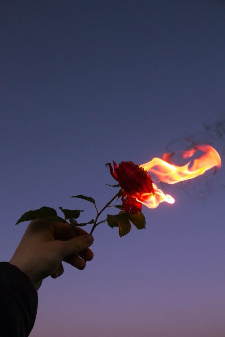 Listen To Solitude. Why are you scared of me? Why losing me… | by ...