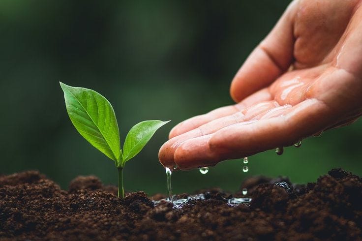 SUSTAINABLE LIVING: TIPS FOR LIVING A GREENER LIFE | by Demitrix | Medium