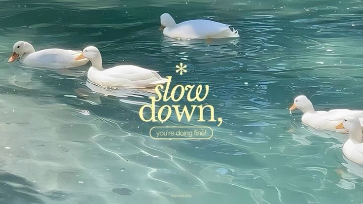 Dear you, It’s okay to slow down | by Soniya | Medium