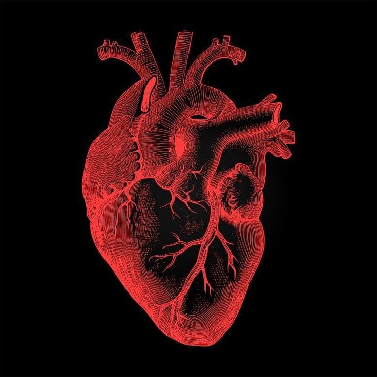 How to Get a Good Heart: A Comprehensive Guide | by healthystuff | Sep ...