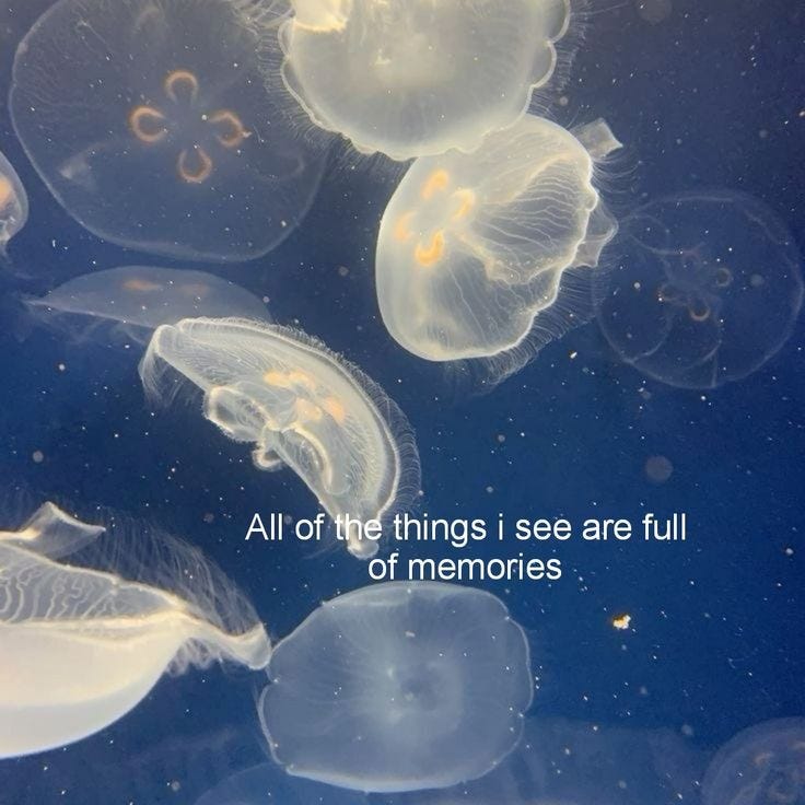 Take on Board : Ocean. To nature who knows and realize that im… | by ...