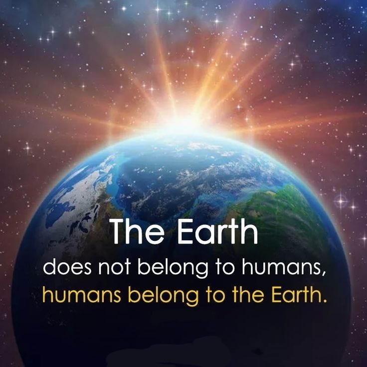Which Was the First Life on Earth | by Butterfly Colors Solutions | Aug ...