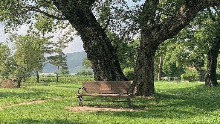 This Poem? - anaa - Medium