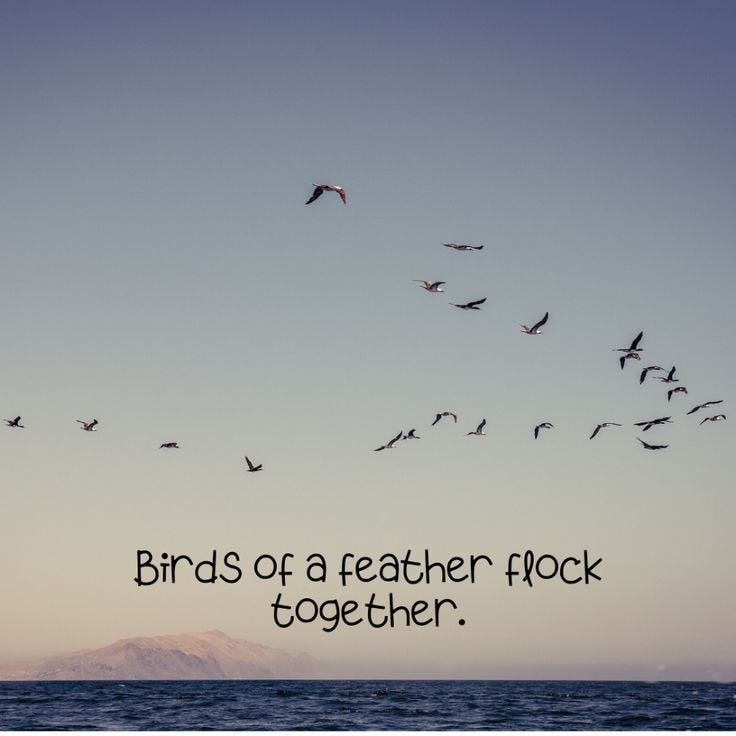 Birds of a feather flock together One love and heart, Matching ...