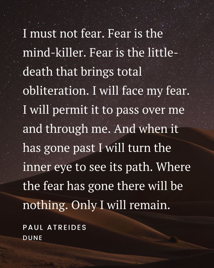 When the Fear is Gone , Only I will Remain | by Fatima Amer | Medium