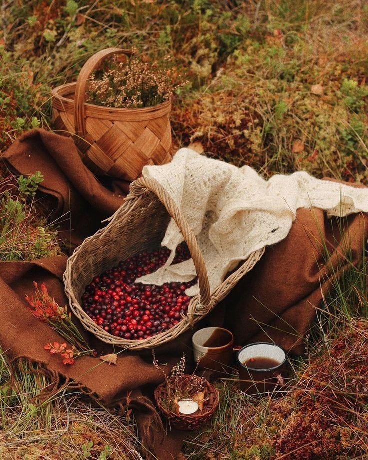 Romanticising Autumn and Aligning Our Lives with the Season. | by Verde ...